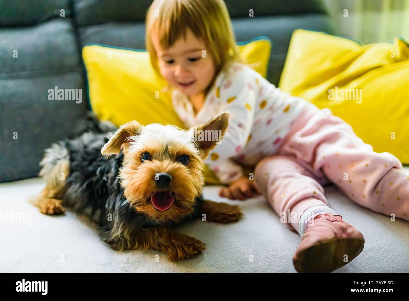 Ona animal hi-res stock photography and images - Alamy