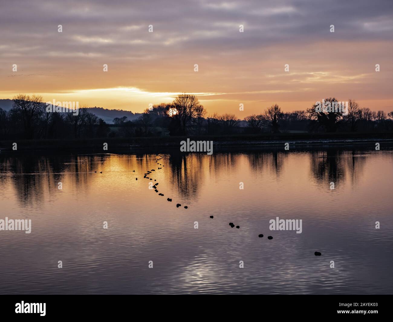 Tring hi-res stock photography and images - Alamy