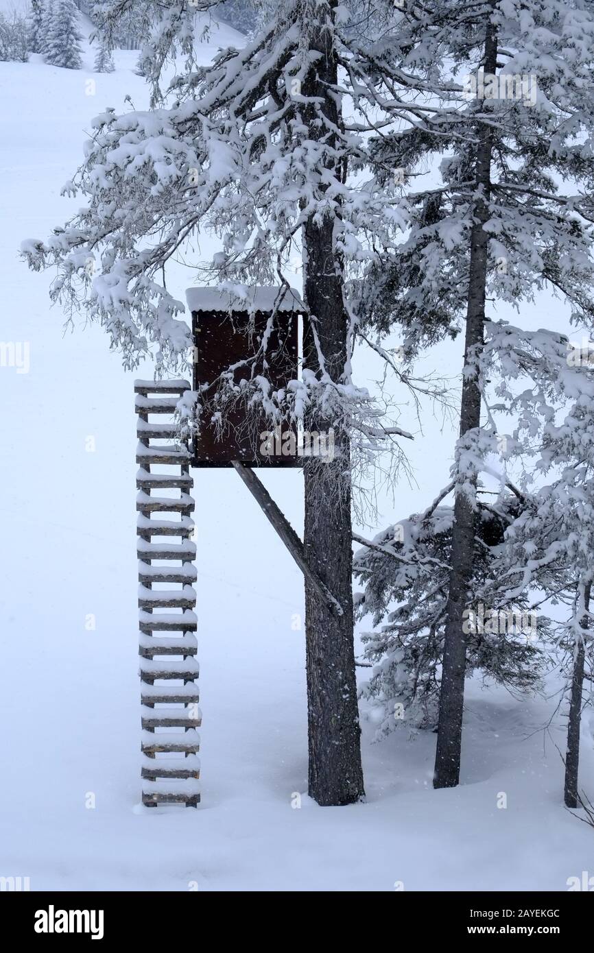 High seat, raised high, perch Stock Photo - Alamy