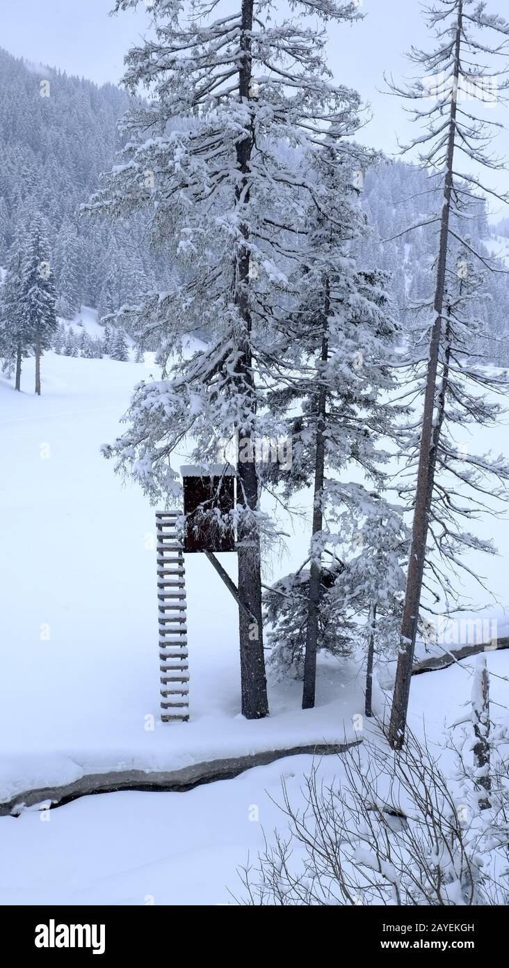 Forstlich hi-res stock photography and images - Alamy