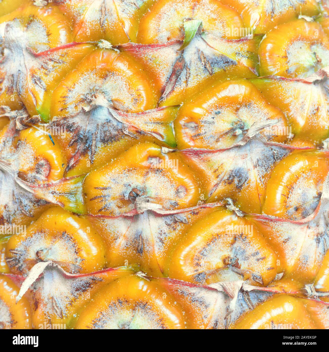 Texture of pineapple skin Stock Photo - Alamy