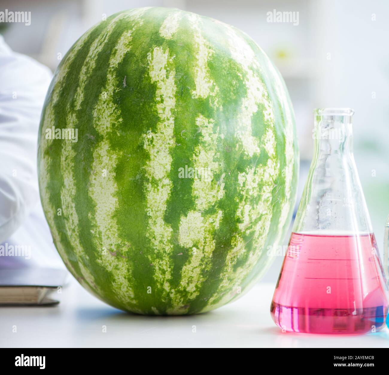 Watermelon test hi-res stock photography and images - Alamy