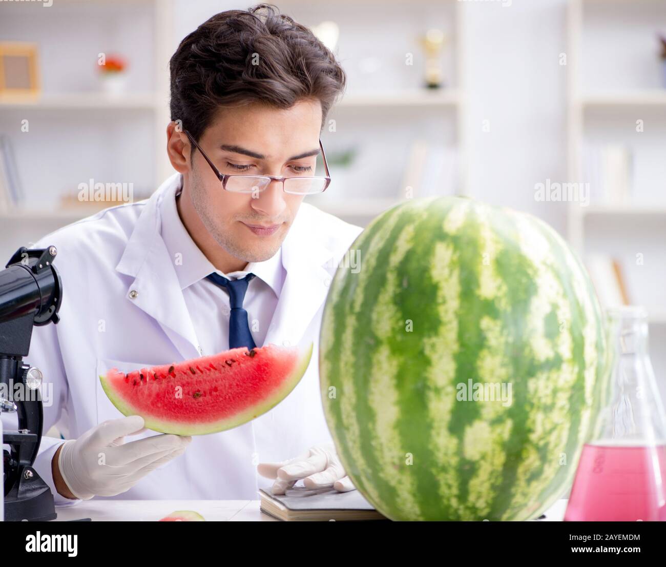 Scientist testing watermelon in lab Stock Photo - Alamy