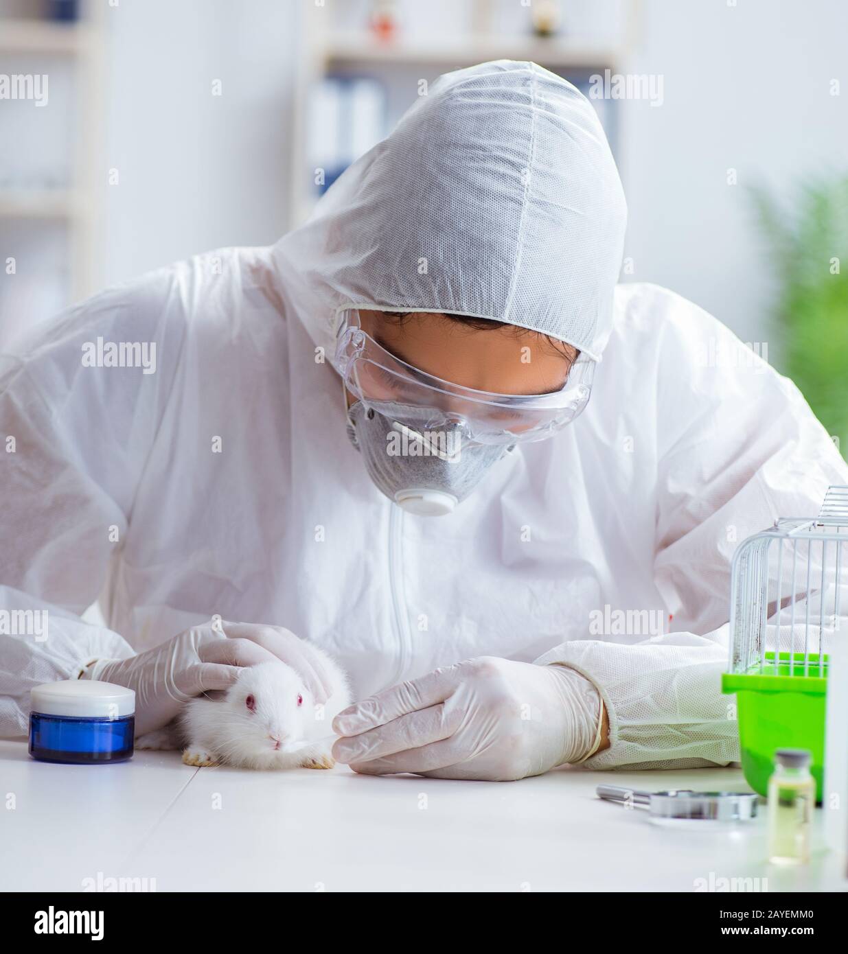 Scientist doing animal experiment in lab with rabbit Stock Photo - Alamy