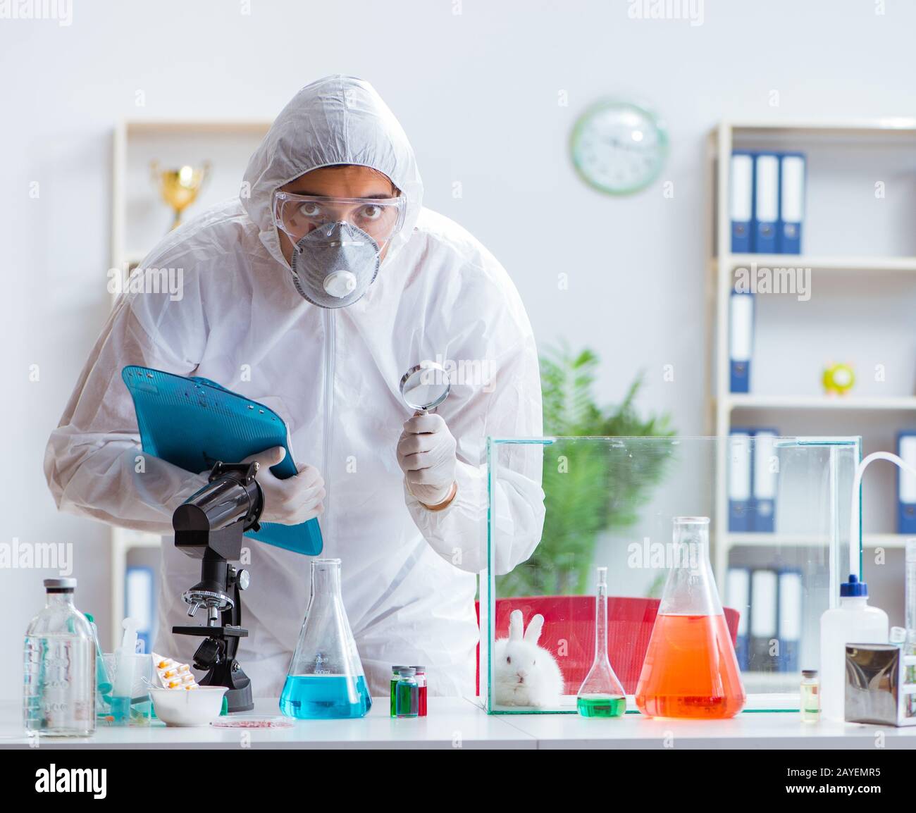 Rabbit animal lab hi-res stock photography and images - Alamy