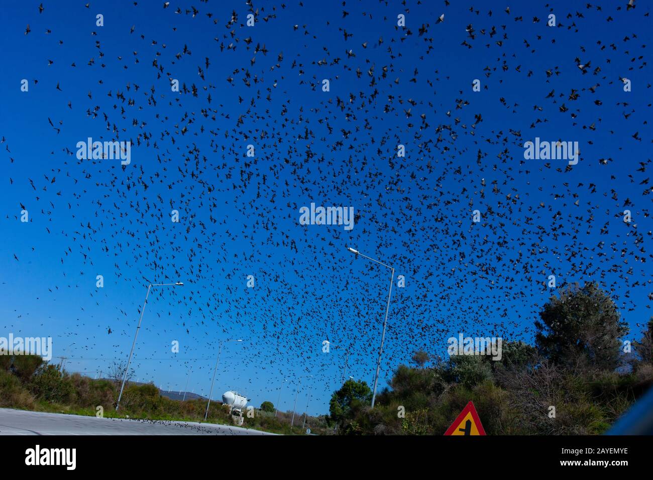 Karistos hi-res stock photography and images - Alamy