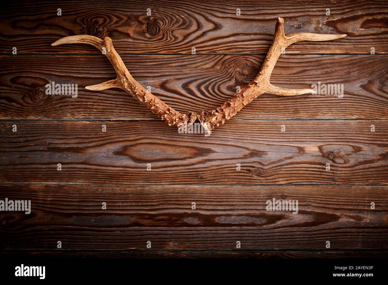 Wooden deer hi-res stock photography and images - Alamy