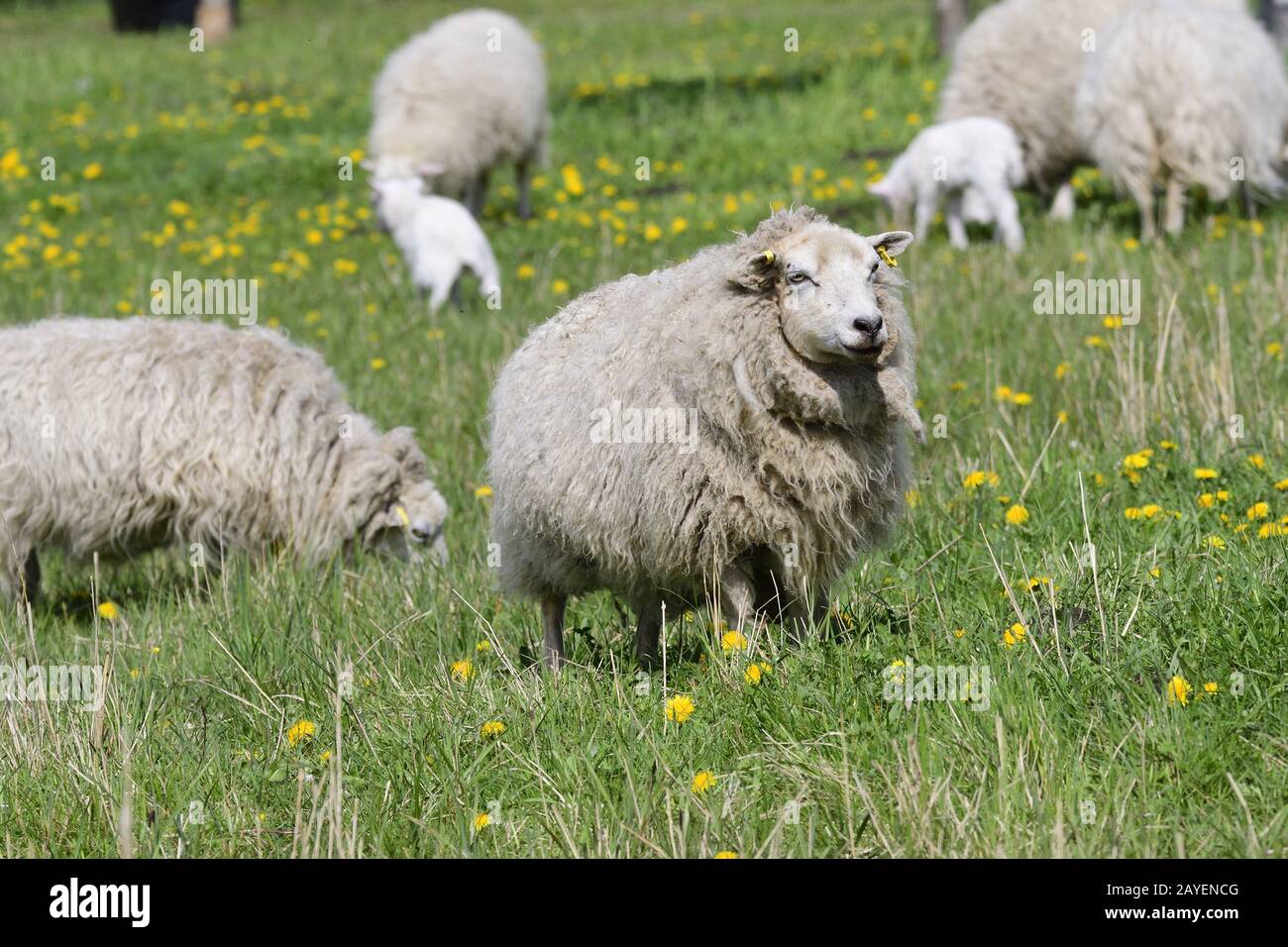 Skudden hi-res stock photography and images - Alamy