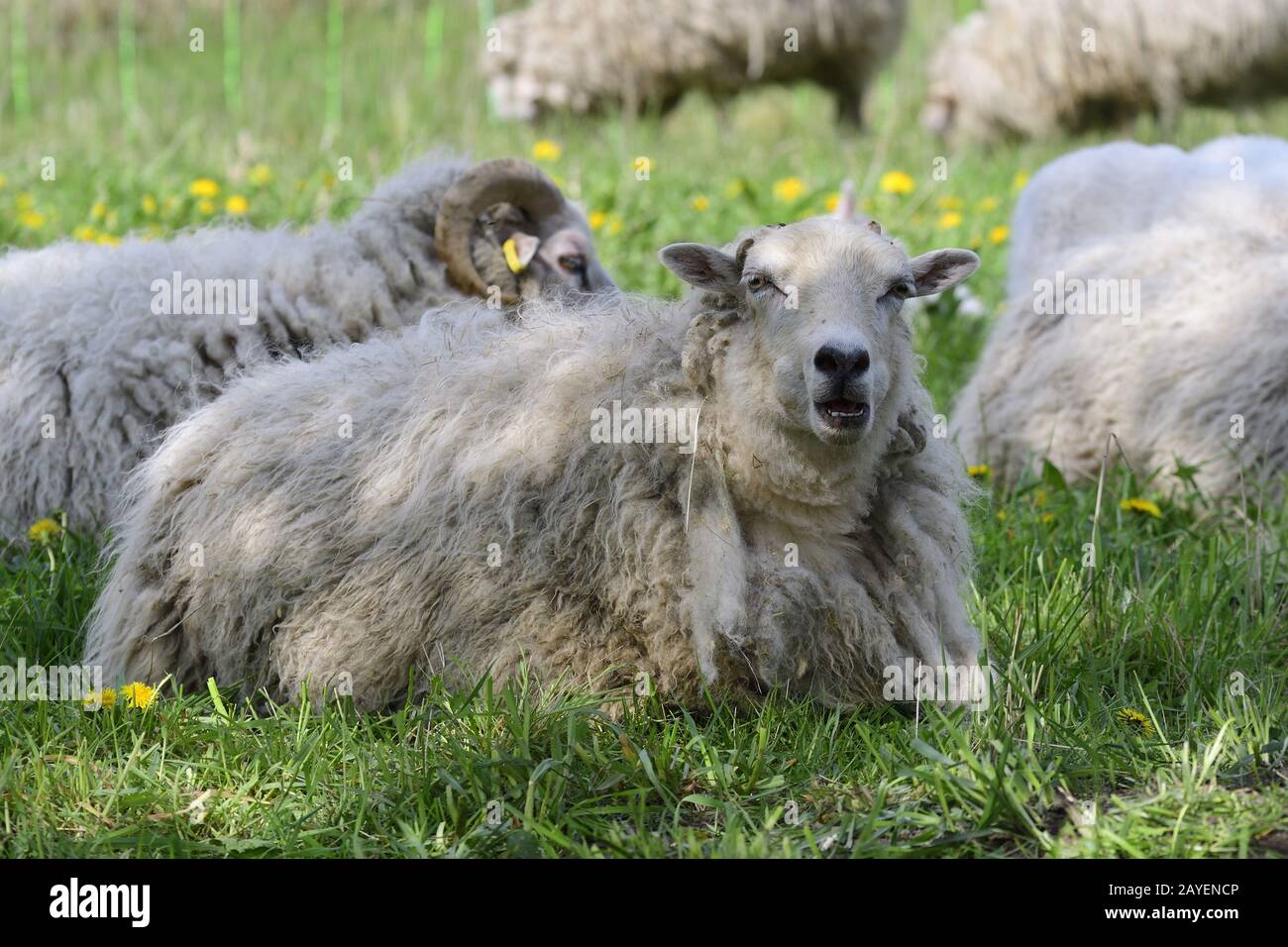 Skudden hi-res stock photography and images - Alamy