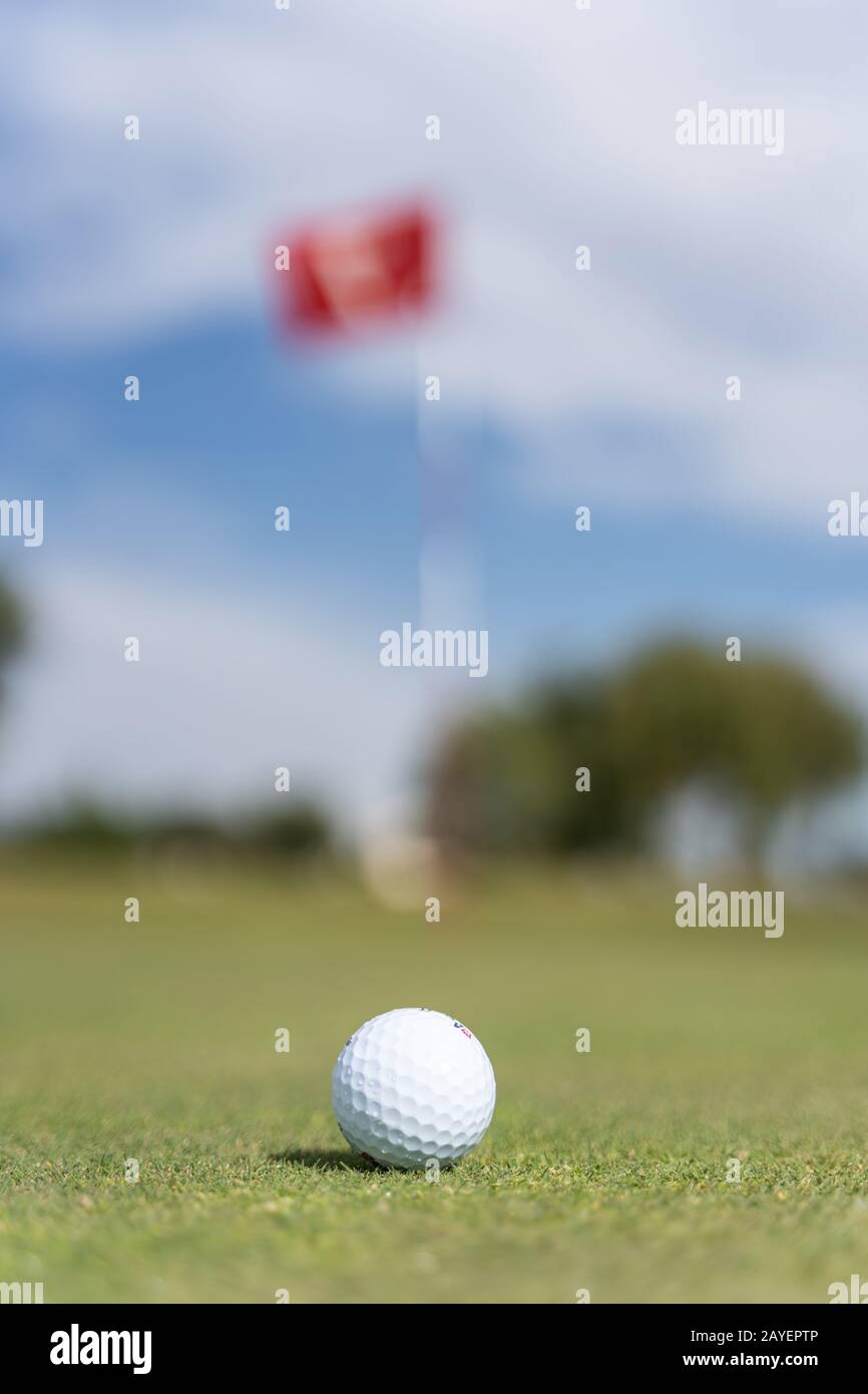 Vertical photo of a white golf ball on a golf course in a blur ...