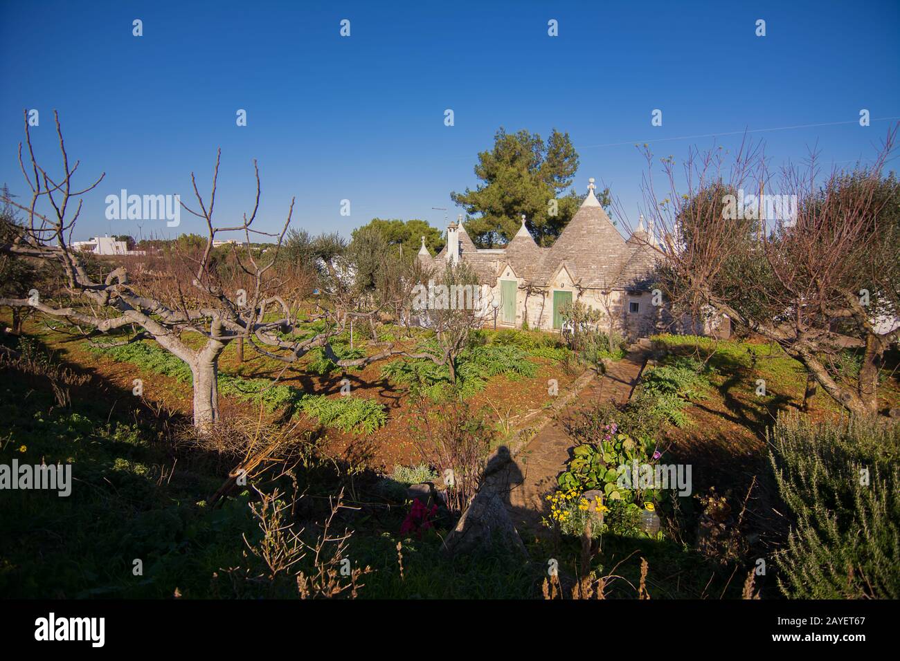 Group of trulli in the Apulian countryside Stock Photo - Alamy