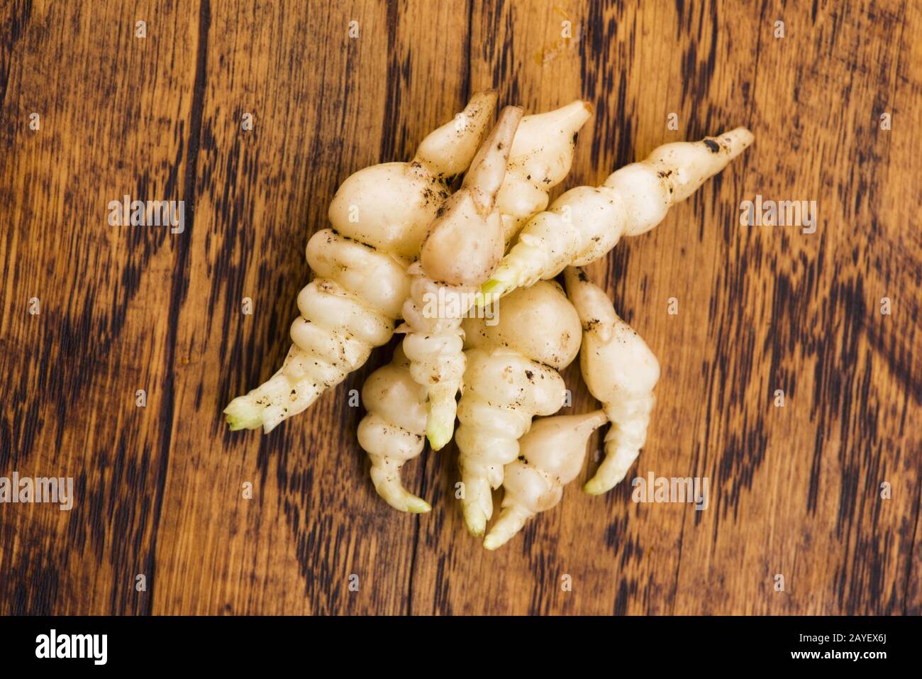 Chinese artichoke tubers hi-res stock photography and images - Alamy