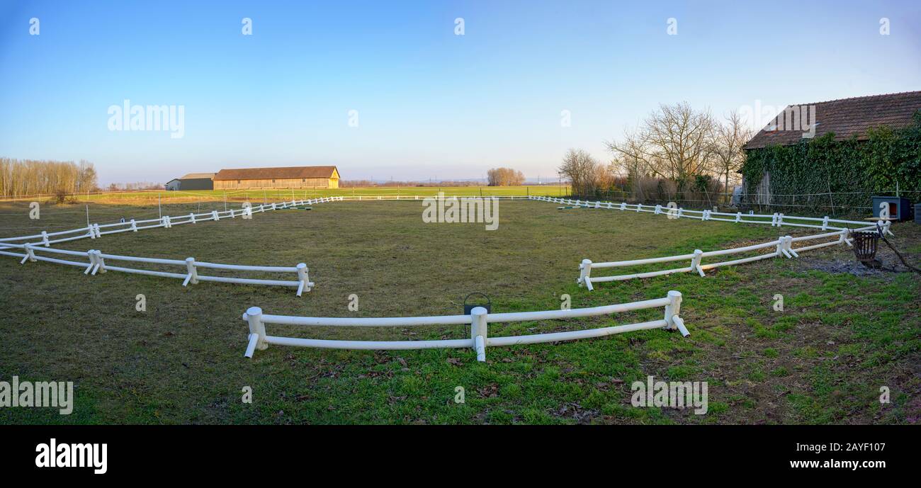 Riding paddock hi-res stock photography and images - Alamy