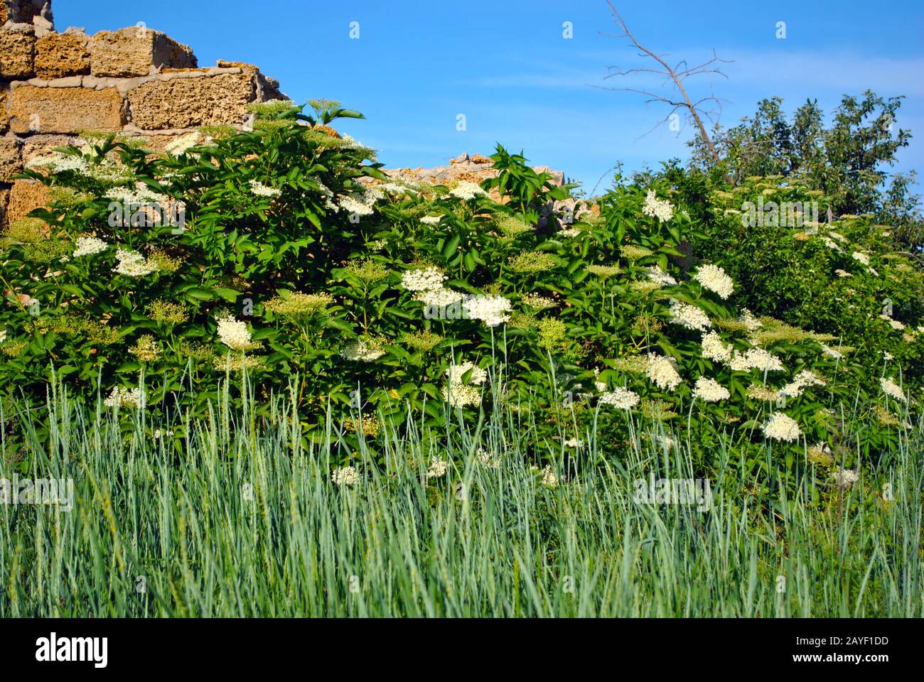 Country Crumbling High Resolution Stock Photography and Images - Alamy