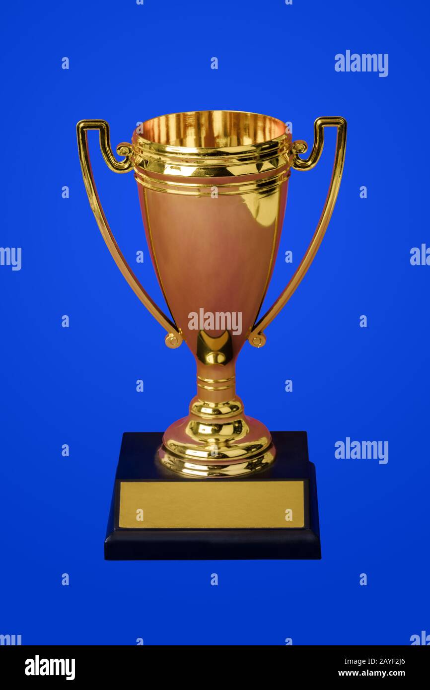 Blue Falcon Award Trophy