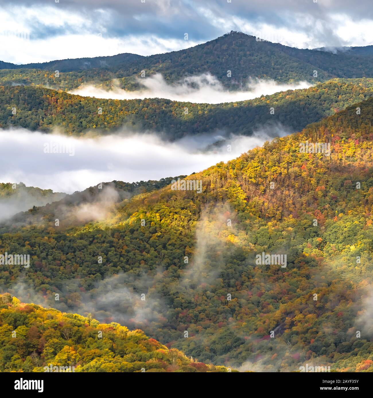 early morning autumn foggy photo at blue ridge parkway north carolina ...