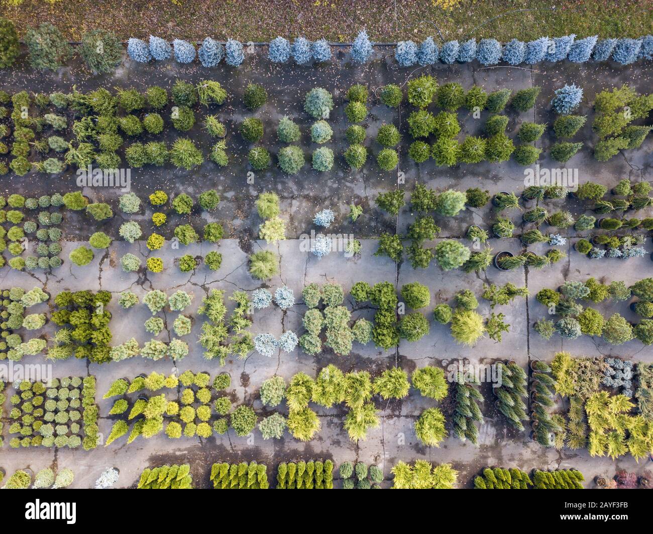 Eyes bird view hi-res stock photography and images - Alamy