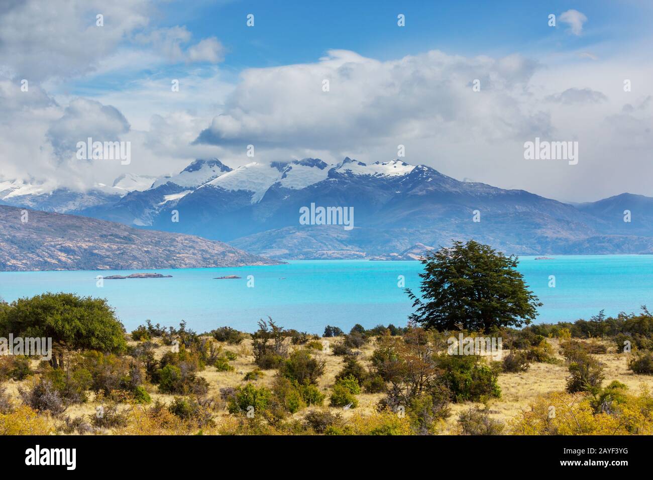Lake in Patagonia Stock Photo - Alamy