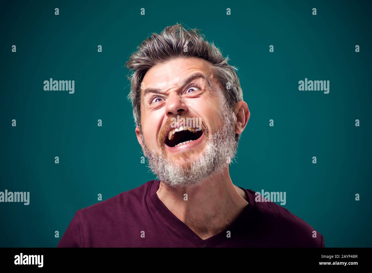 A portrait of bearded angry and crazy screaming man in red t-shirt ...