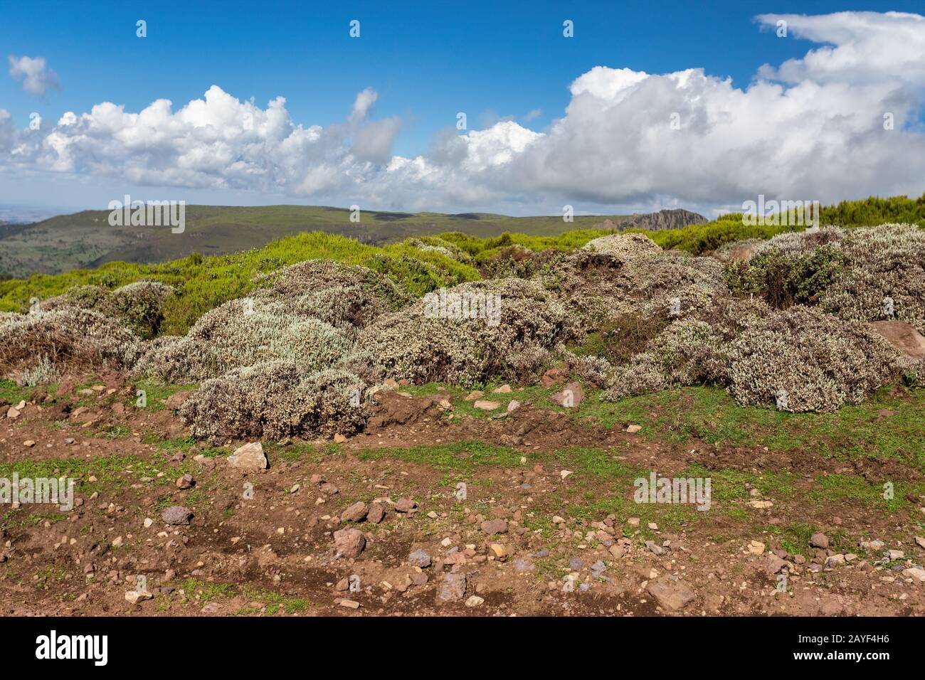 Ethiopian Bale Mountains landscape, Ethiopia Africa Stock Photo - Alamy