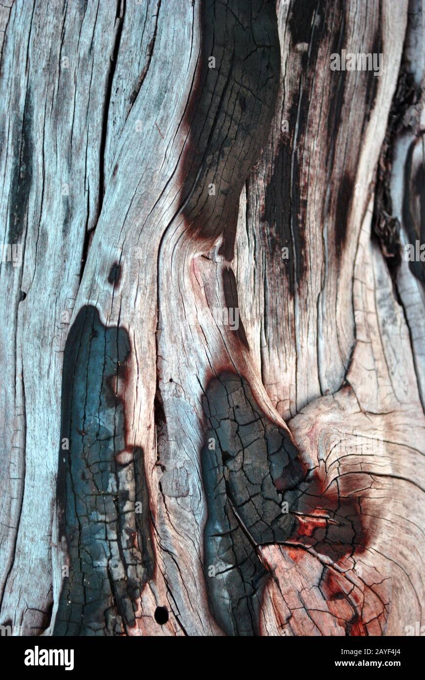 Closeup abstract burnt tree bark hi-res stock photography and images ...