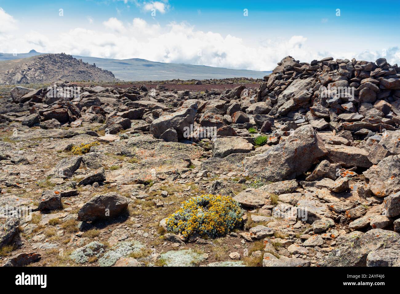 Ethiopian Bale Mountains landscape, Ethiopia Africa Stock Photo - Alamy