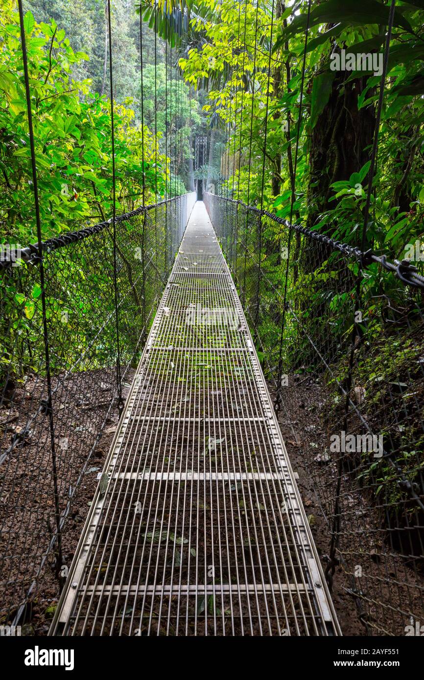 Bridge in Costa Rica Stock Photo - Alamy