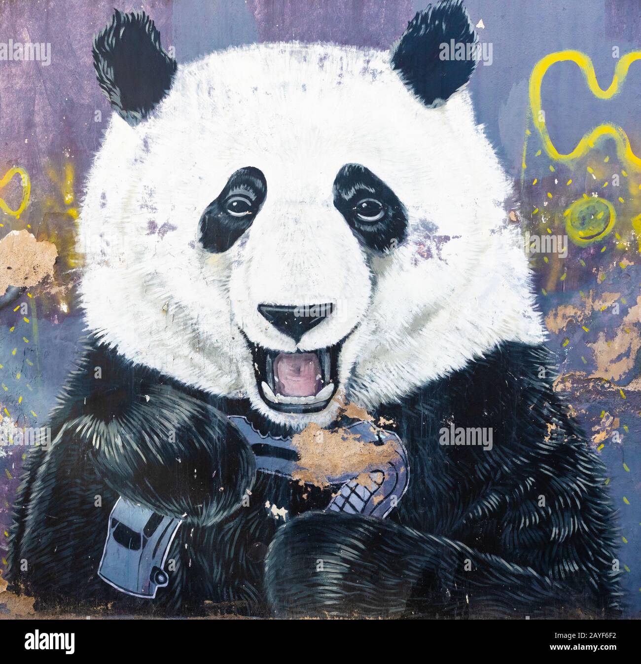 Panda wal hi-res stock photography and images - Alamy