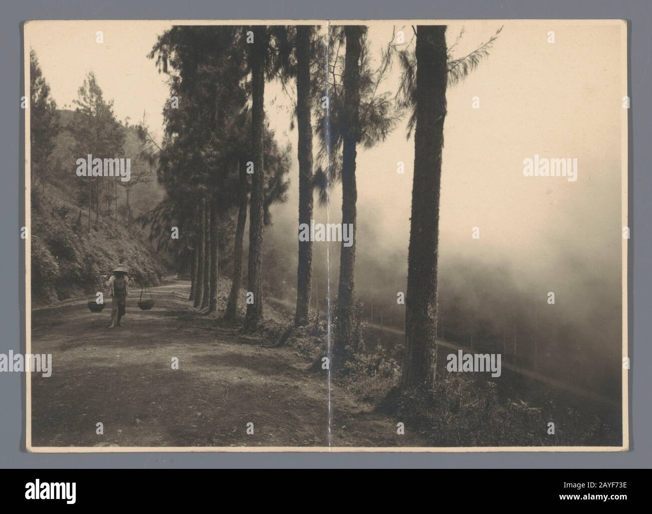 Satake High Resolution Stock Photography and Images - Alamy