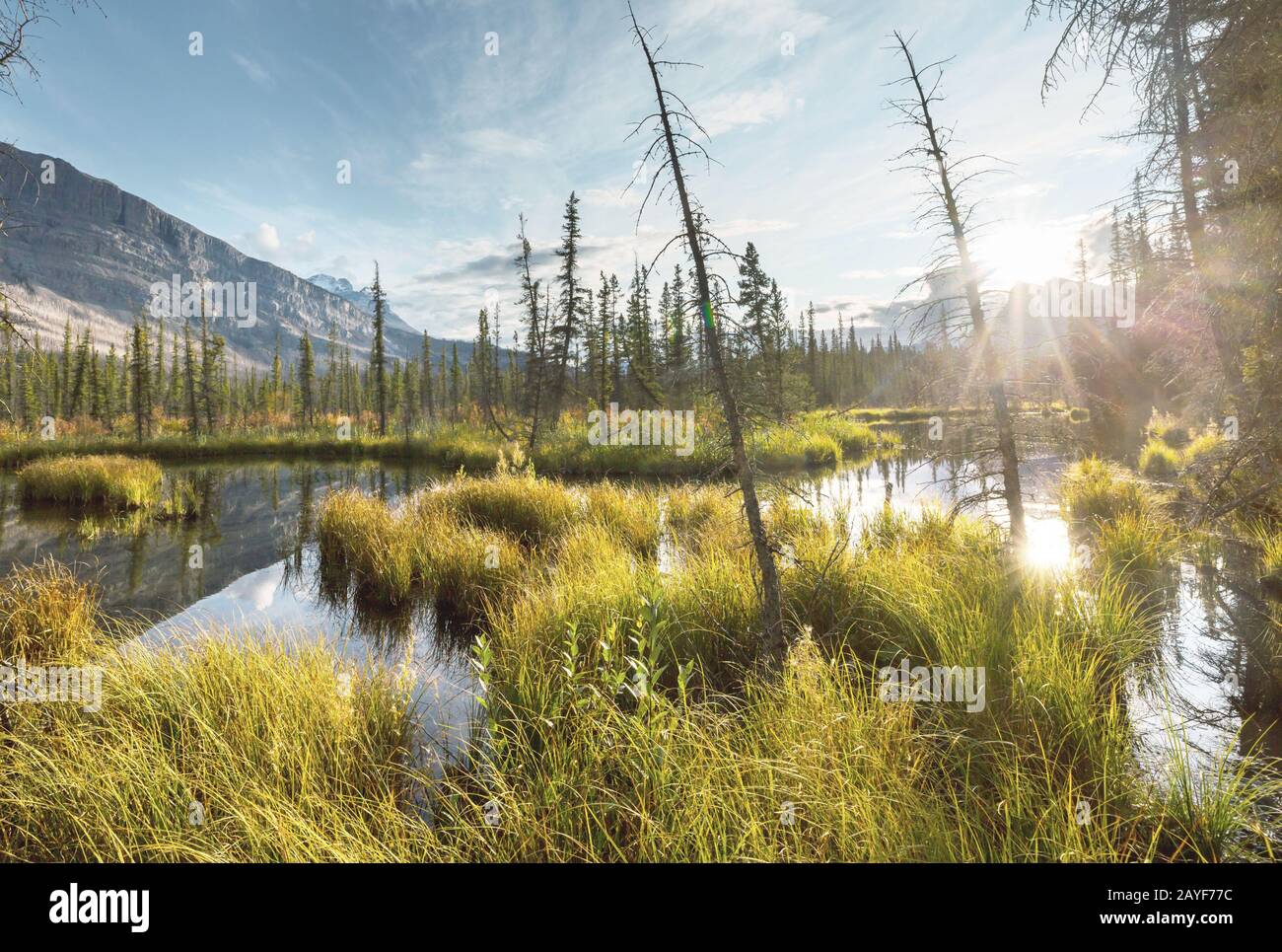 Autumn in Canada Stock Photo - Alamy