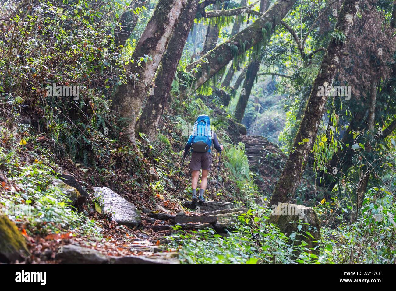Hike in Nepal jungle Stock Photo - Alamy