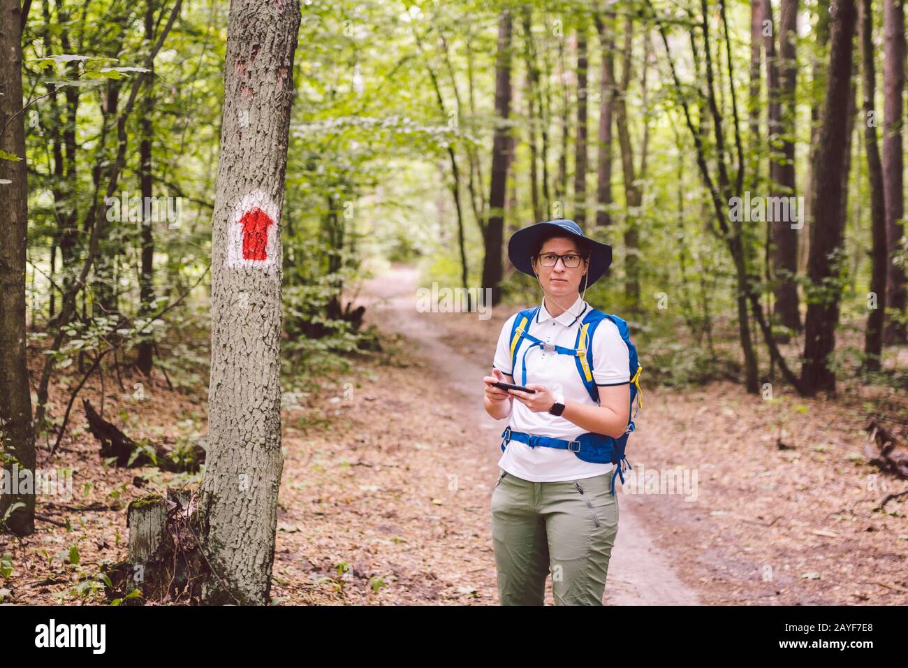 Hiking marked trail in the forest. Marking the tourist route painted on ...
