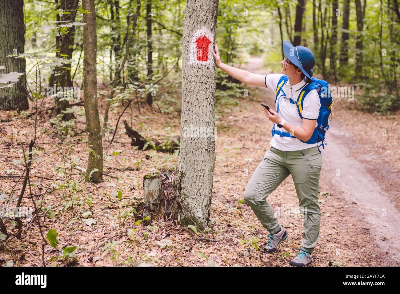 Hiking marked trail in the forest. Marking the tourist route painted on ...