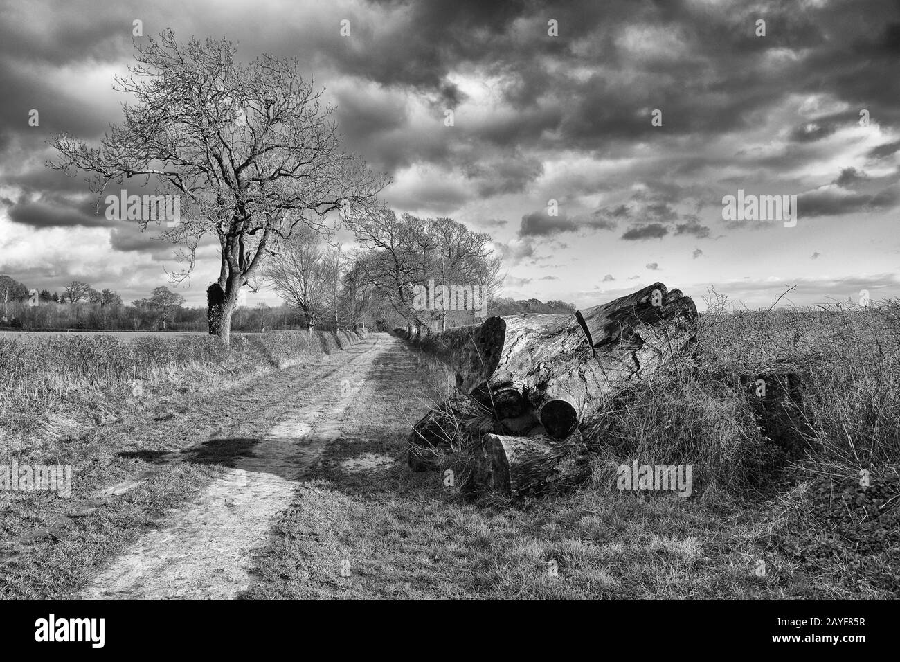 Walk in winter storm Black and White Stock Photos & Images - Alamy