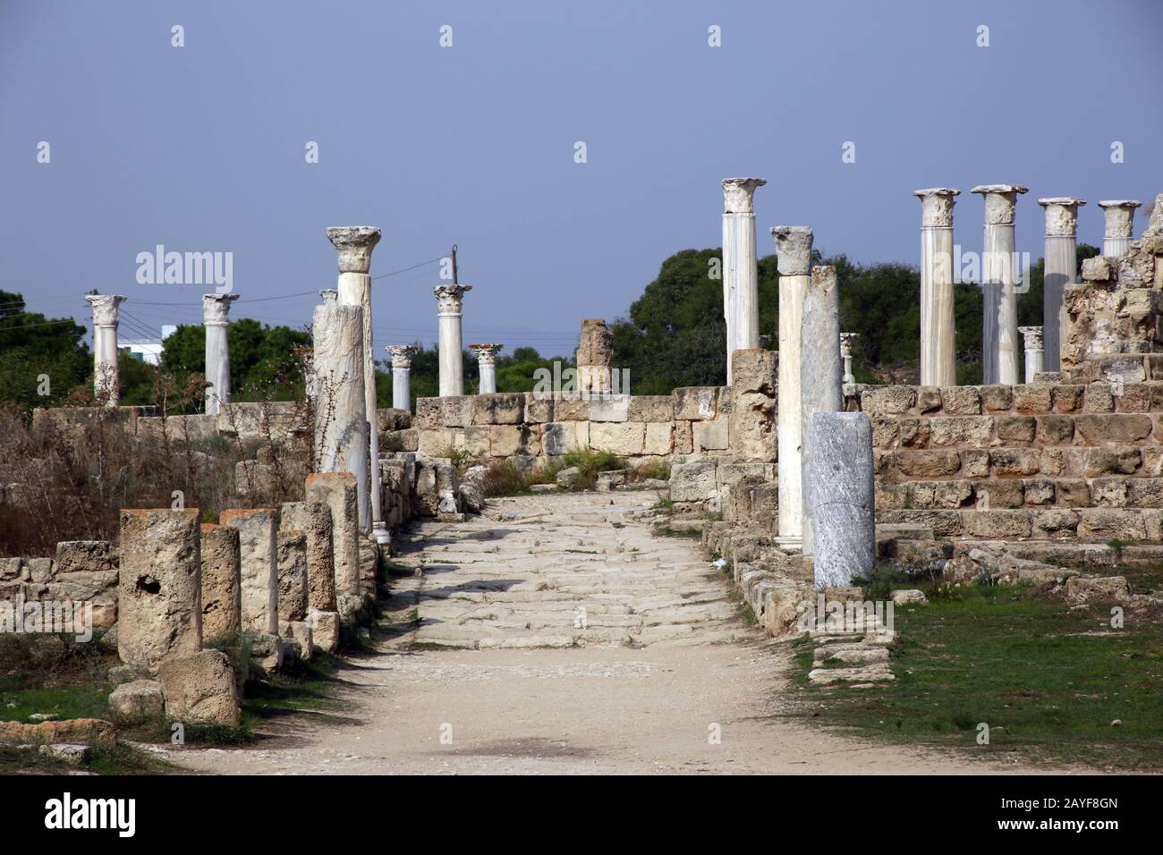 Archaeological site of the ancient city of Salamis Stock Photo - Alamy