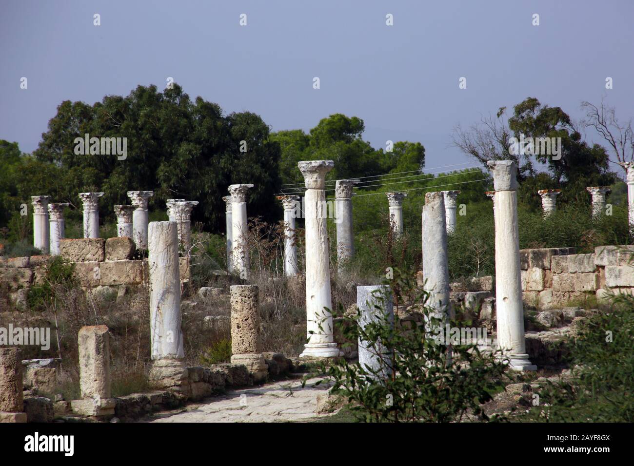Archaeological site of the ancient city of Salamis Stock Photo - Alamy