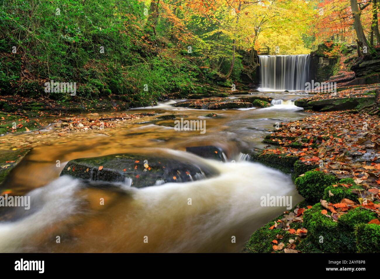 Clywedog wrexham hi-res stock photography and images - Alamy