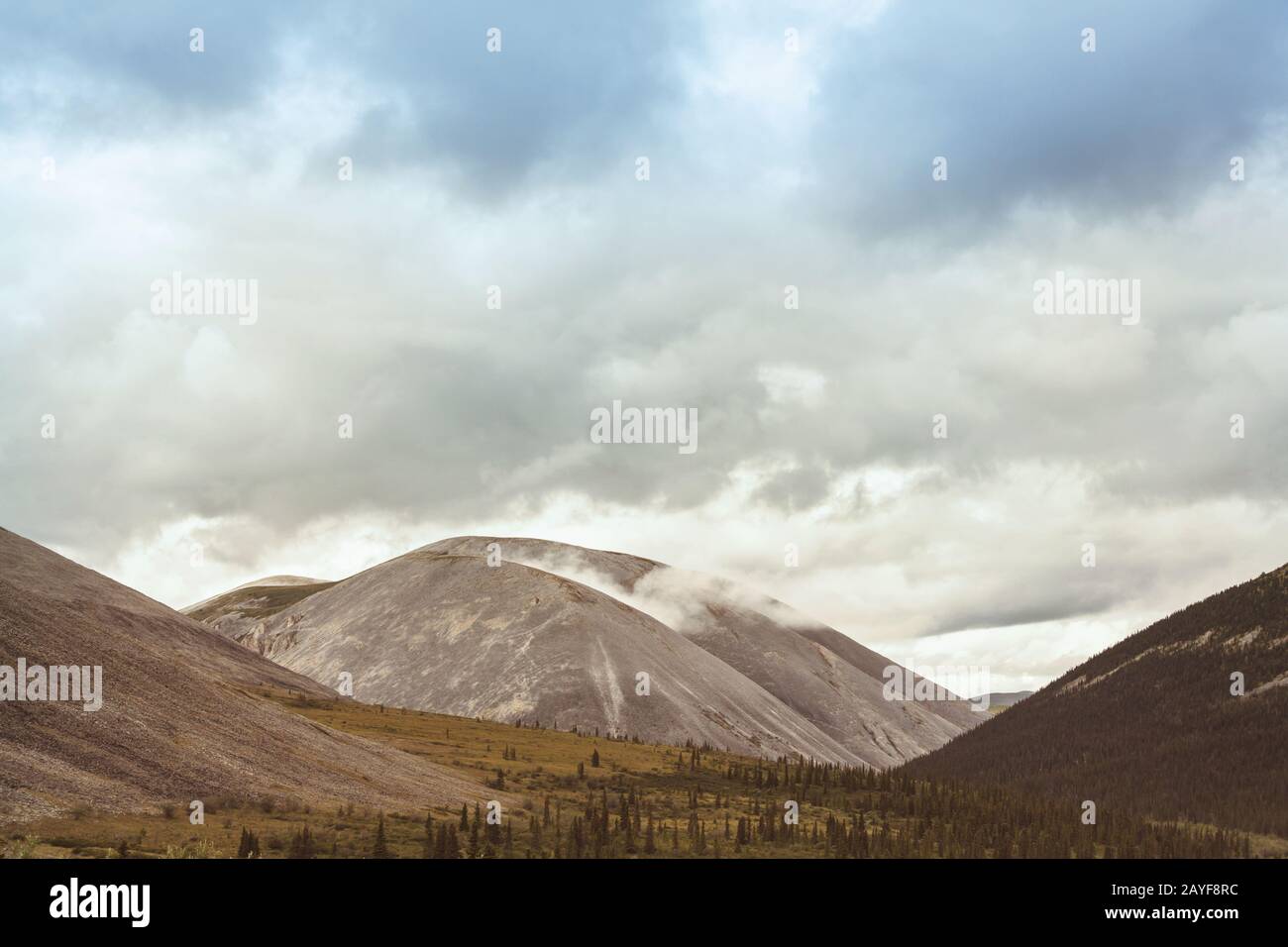L tundra hi-res stock photography and images - Alamy
