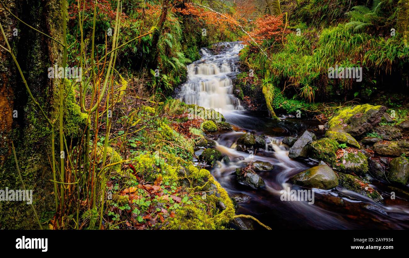 Waterfall Trail at Glenariff Forest Park, County Antrim. Hiking in ...