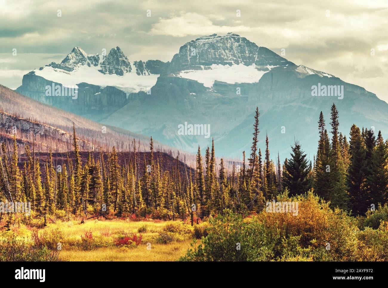 Autumn in Canada Stock Photo - Alamy
