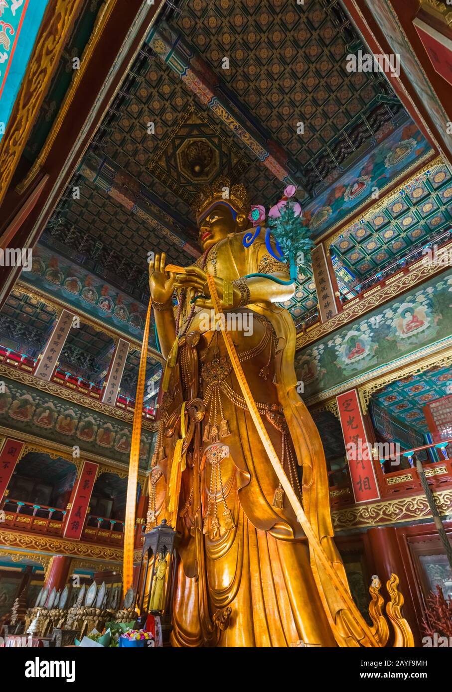 Giant Buddha in Lama Yonghe Temple in Beijing China Stock Photo - Alamy