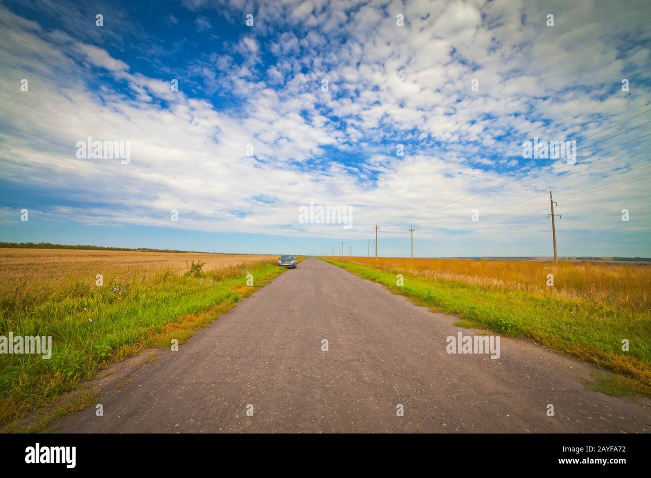 summer landscape with a road in the countryside in a field Stock Photo ...