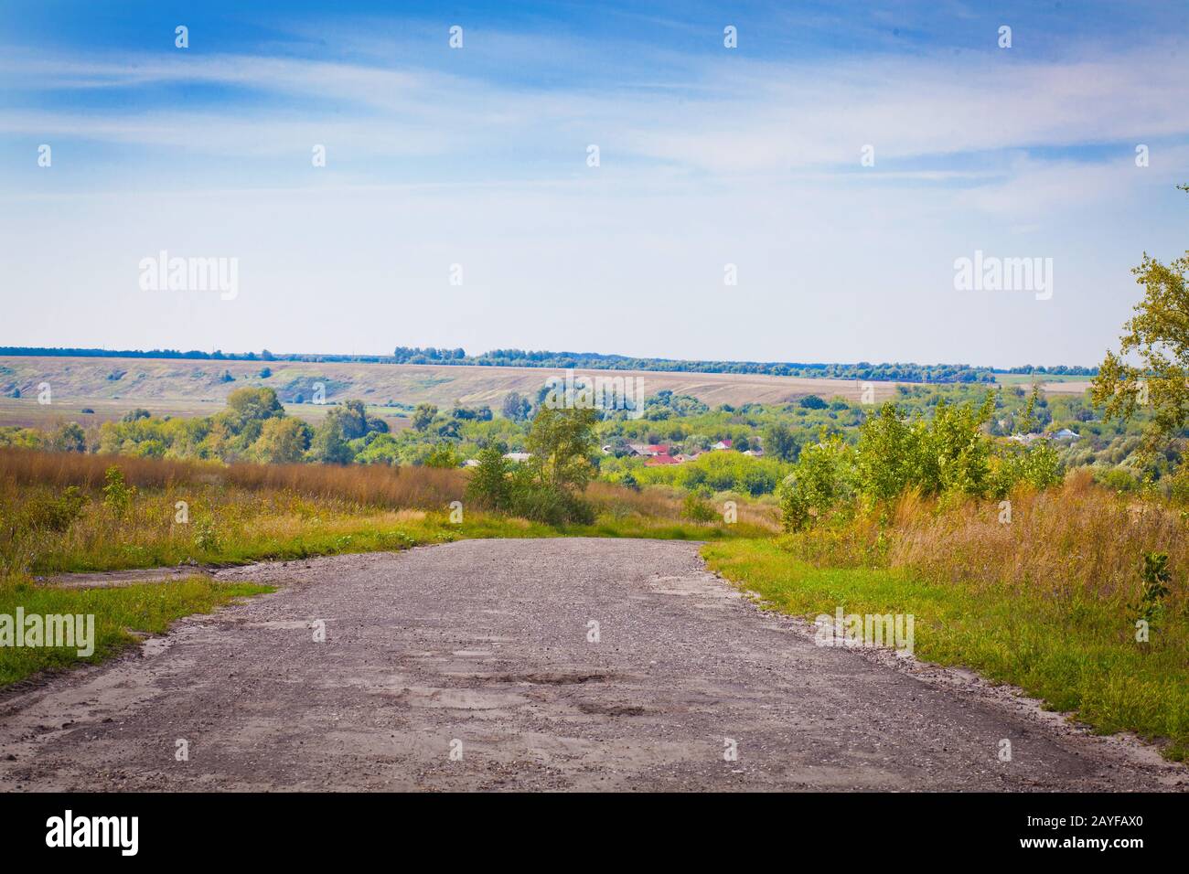 summer landscape with a road in the countryside in a field Stock Photo ...