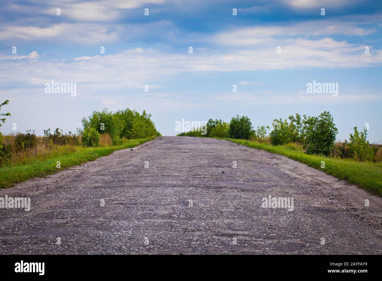 summer landscape with a road in the countryside in a field Stock Photo ...