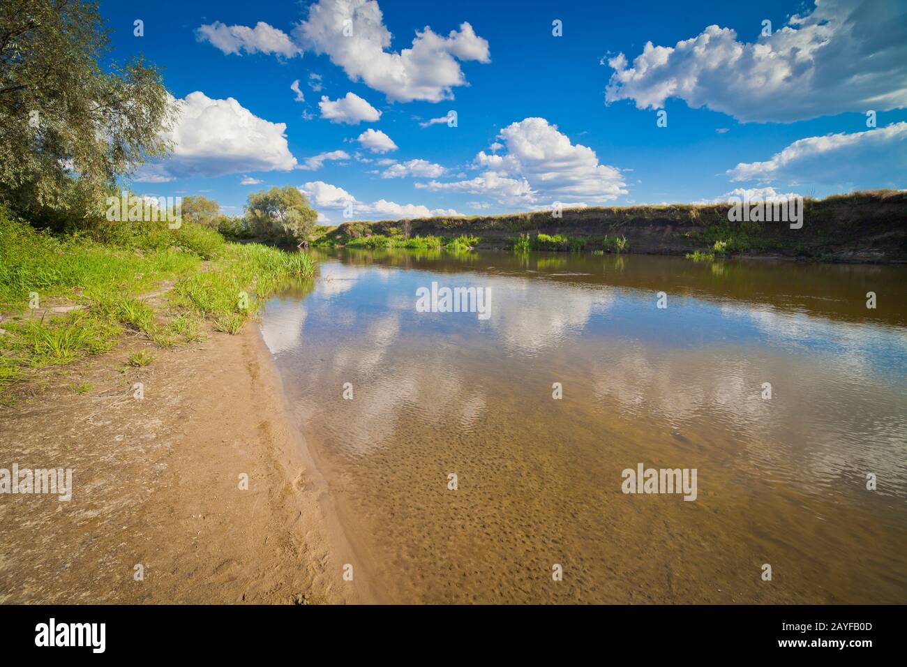 summer landscape with river sky and surrounding plants Stock Photo - Alamy