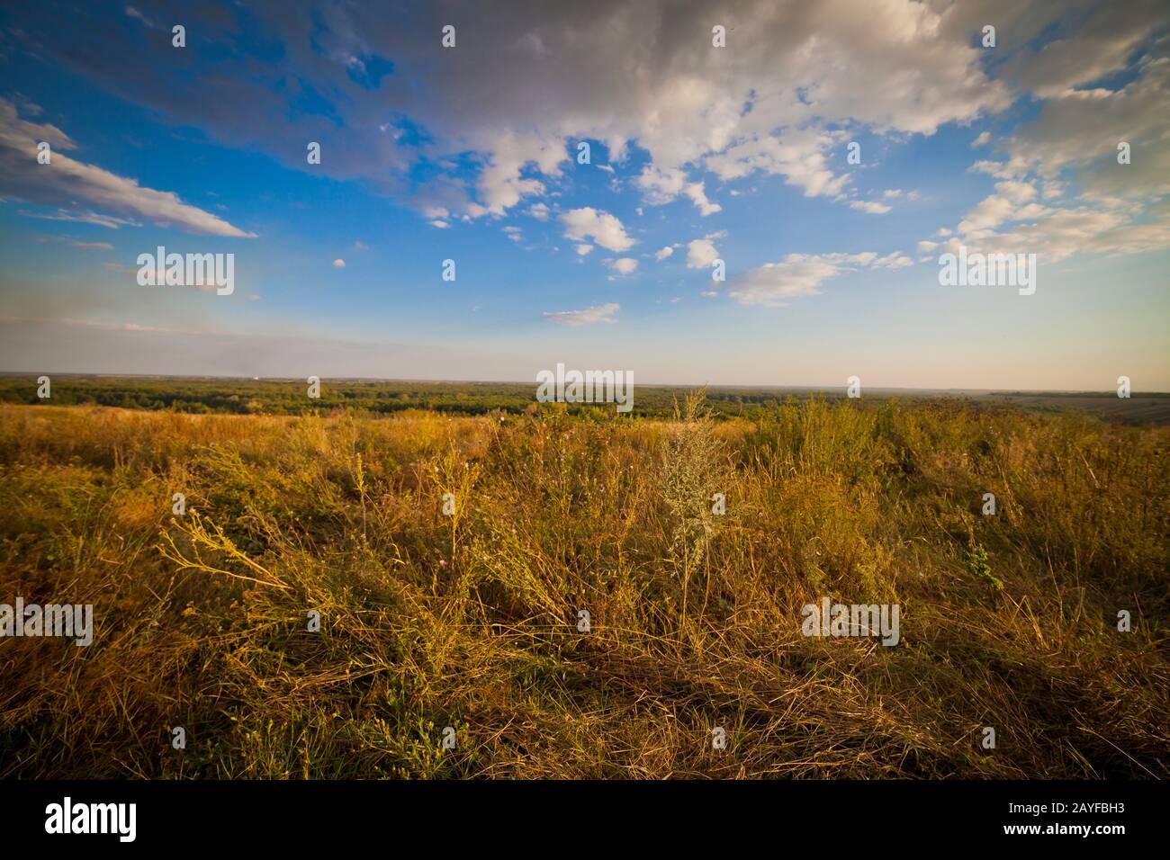 summer landscape with large meadows and blue sky and open space Stock ...