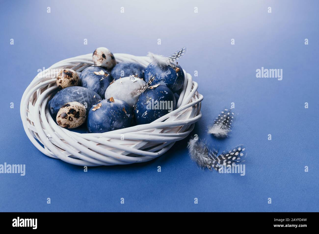 group of light blue robin eggs in their nest on a white background ...