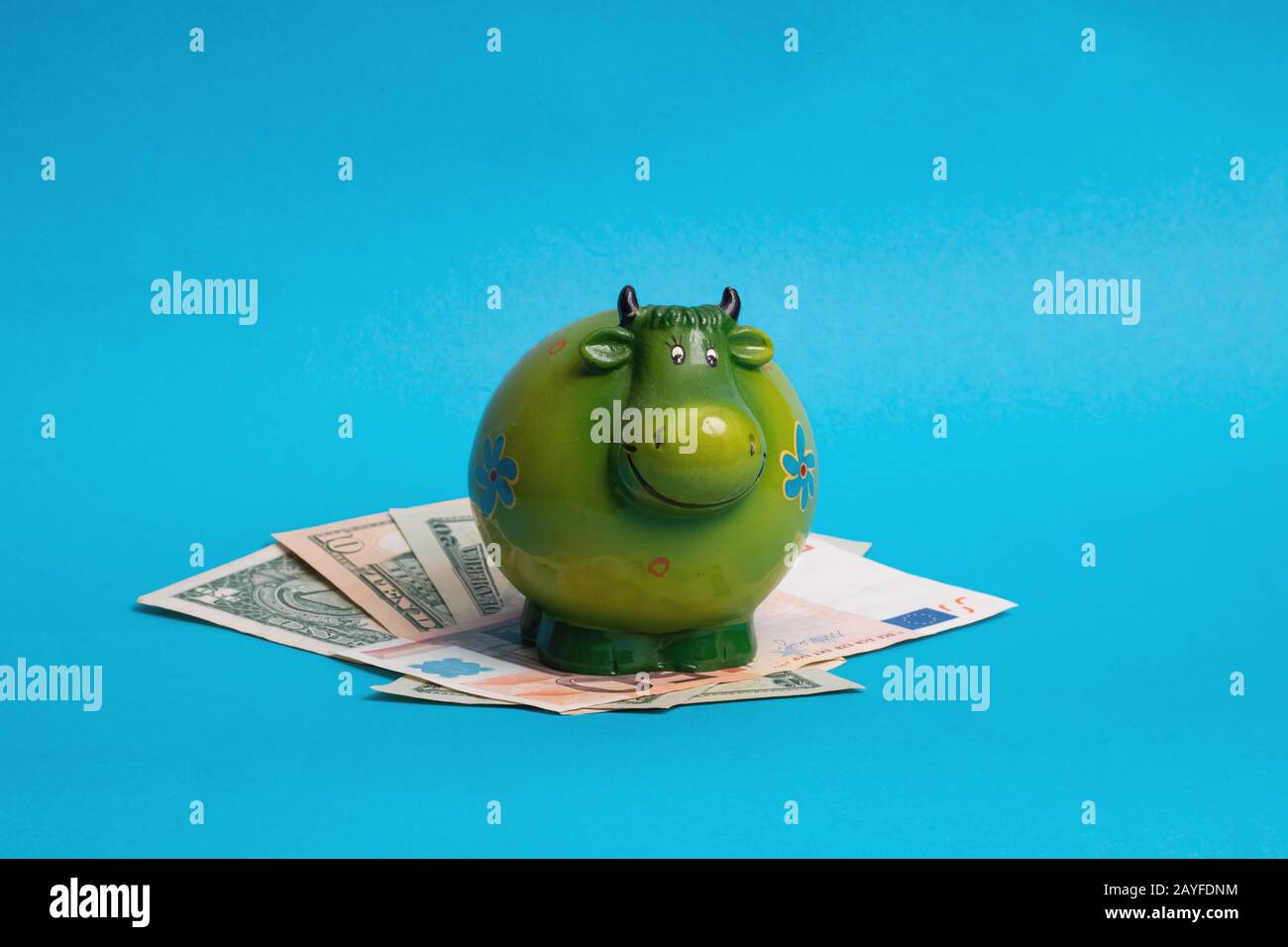 Cow money box cow on the spread out money on blue background Stock ...