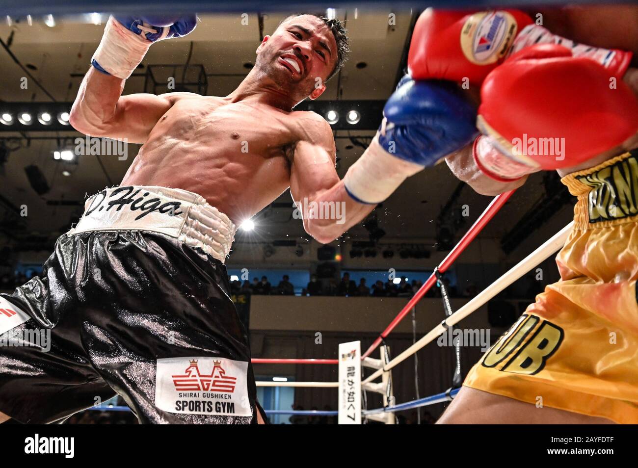 Tokyo, Japan. 13th Feb, 2020. Daigo Higa (JPN) Boxing : Daigo Higa of ...