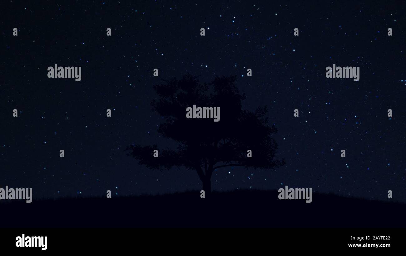Lonely Tree under Amazing Clean Night Sky with Stars 3D Illustration ...